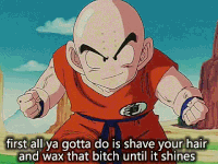 Bald GIFs - Get the best gif on GIFER