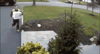 Deliveries GIFs - Get the best gif on GIFER
