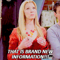 Phoebe GIFs - Get the best gif on GIFER