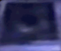 Tentative GIFs - Get the best gif on GIFER