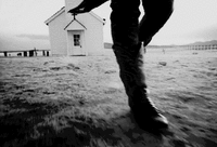 Slash GIFs - Get the best gif on GIFER