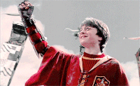 Quidditch GIFs - Get the best gif on GIFER