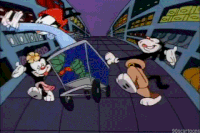 Animaniacs GIFs - Get the best gif on GIFER