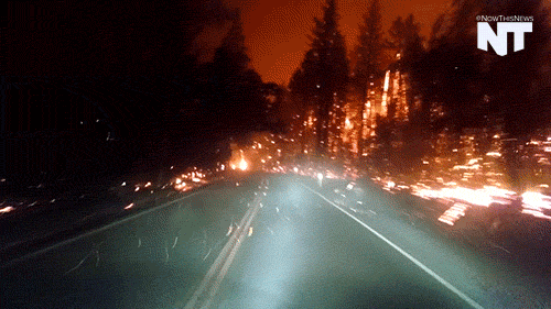 California fire GIF - Conseguir o melhor gif em GIFER