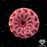 Chaotic GIFs - Get the best gif on GIFER