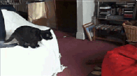 Condolences GIFs - Get the best gif on GIFER