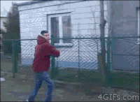 Iq GIFs - Get the best gif on GIFER