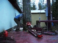 Lumberjack GIFs - Get the best gif on GIFER