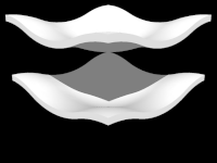 Sinus GIFs - Get the best gif on GIFER