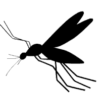 Mosquitos GIFs - Get the best gif on GIFER