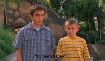 Malcom in the middle GIF - Conseguir el mejor gif en GIFER