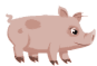 Свинья гифки, анимированные GIF изображения свинья - скачать гиф ...