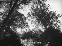 Criterion GIFs - Get the best gif on GIFER