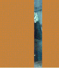 Stall GIFs - Get the best gif on GIFER