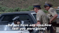 Speed GIFs - Get the best gif on GIFER