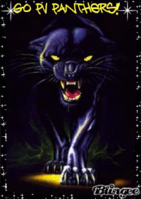 Panther GIFs - Get the best gif on GIFER