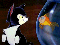 Cuentos GIFs - Get the best gif on GIFER