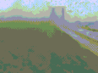 Swarm GIFs - Get the best gif on GIFER