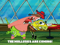 Pest GIFs - Get the best gif on GIFER