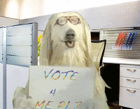 Vote GIFs - Get the best gif on GIFER
