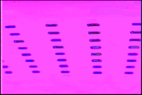 Gravitron GIFs - Get the best gif on GIFER