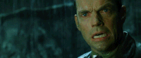 Phd GIFs - Get the best gif on GIFER