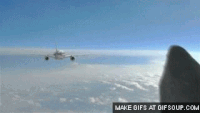Tiburon GIF - Conseguir el mejor gif en GIFER