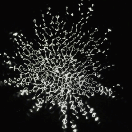 Cymatic GIFs - Get the best gif on GIFER