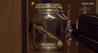Dispatch GIFs - Get the best gif on GIFER