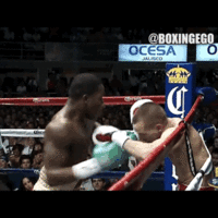 Boxingego GIFs - Get the best gif on GIFER