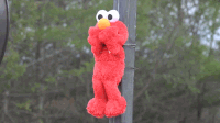 Elmo GIFs - Get the best gif on GIFER