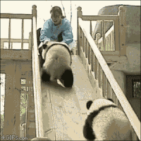 Slide GIFs - Get the best gif on GIFER