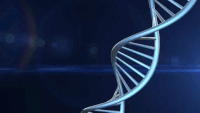 Dna GIFs - Get the best gif on GIFER