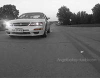 Maxima GIFs - Get the best gif on GIFER