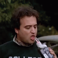 Belushi GIFs - Get the best gif on GIFER