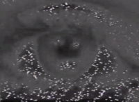 Sonar GIFs - Get the best gif on GIFER