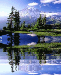 Paysage GIFs - Get the best gif on GIFER