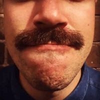 Mustache GIFs - Get the best gif on GIFER