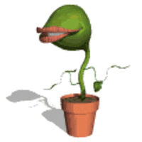 Carnivorous plants GIFs - Get the best gif on GIFER