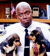 5th world GIF - Conseguir o melhor gif em GIFER