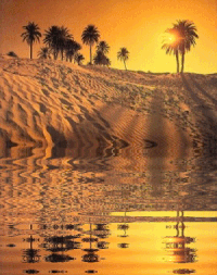 Que alivio GIF - Conseguir o melhor gif em GIFER