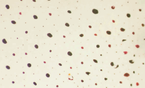 Microscope GIFs - Obtenez le meilleur gif sur GIFER