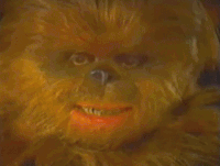 Lumpy GIFs - Get the best gif on GIFER