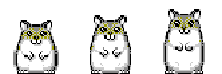 Gerbil GIFs - Get the best gif on GIFER