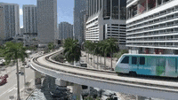 Florida GIFs - Get the best gif on GIFER