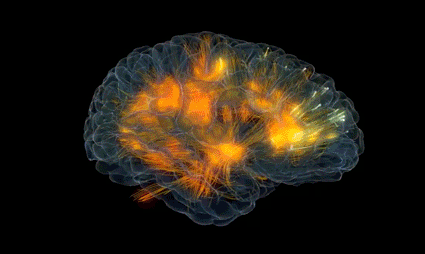 Cerebro GIF - Conseguir o melhor gif em GIFER