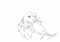 Moh GIFs - Get the best gif on GIFER