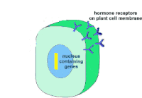 Hormones GIFs - Get the best gif on GIFER