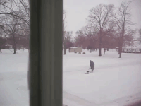 Powder GIFs - Get the best gif on GIFER