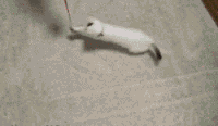 Cabezazo GIFs - Get the best gif on GIFER